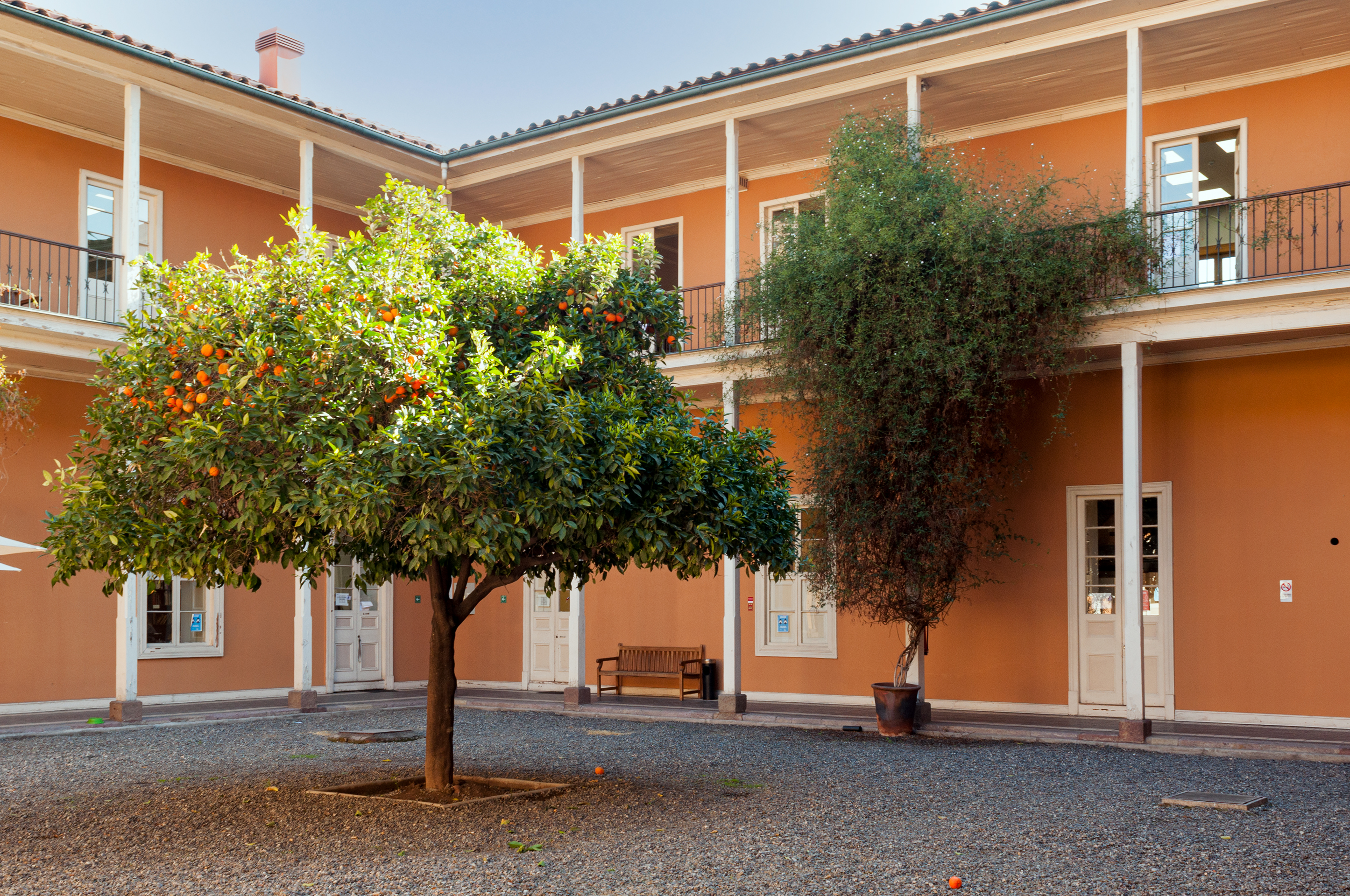 ¡El CNCR cumplirá 39 años! | Centro Nacional de Conservación y Restauración